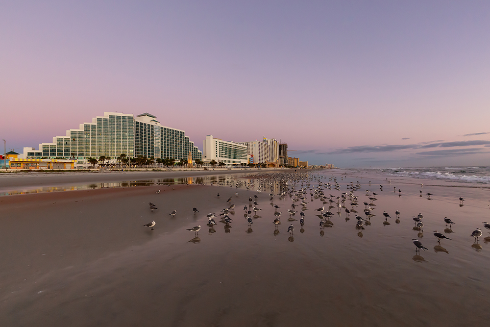 Invertir en Florida - pdfinancial